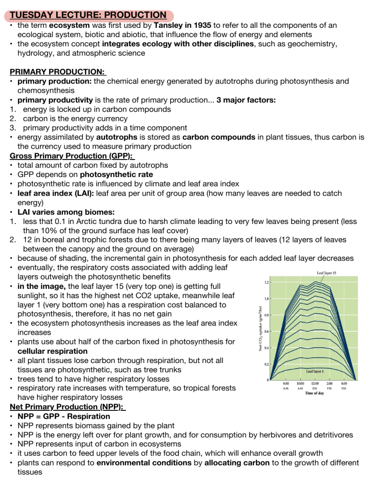 Ecosystem Ecology Lecture Notes