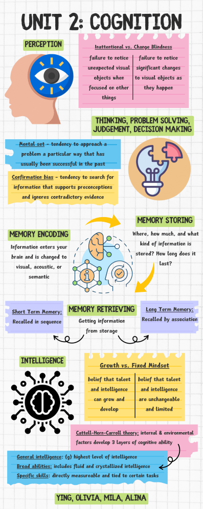 Cognitive Psychology Study Guide