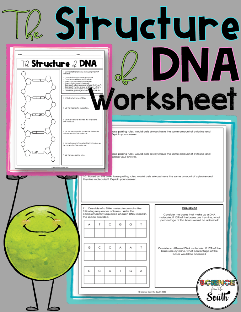 DNA Structure Worksheet for High School Biology