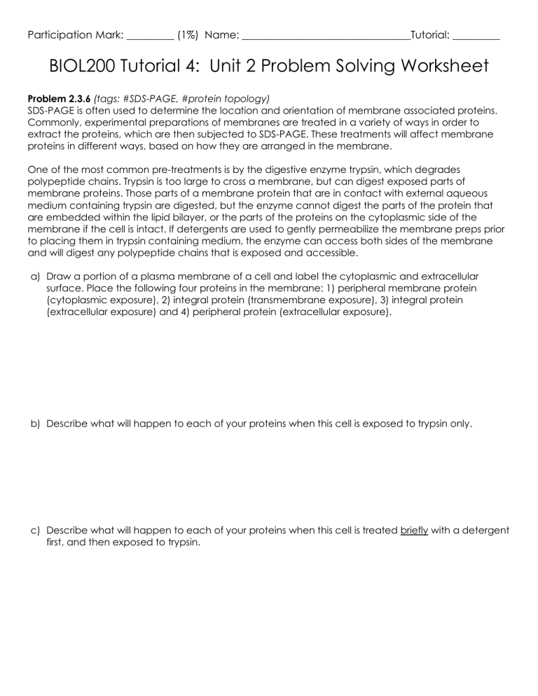 BIOL200 SDS-PAGE Membrane Protein Worksheet