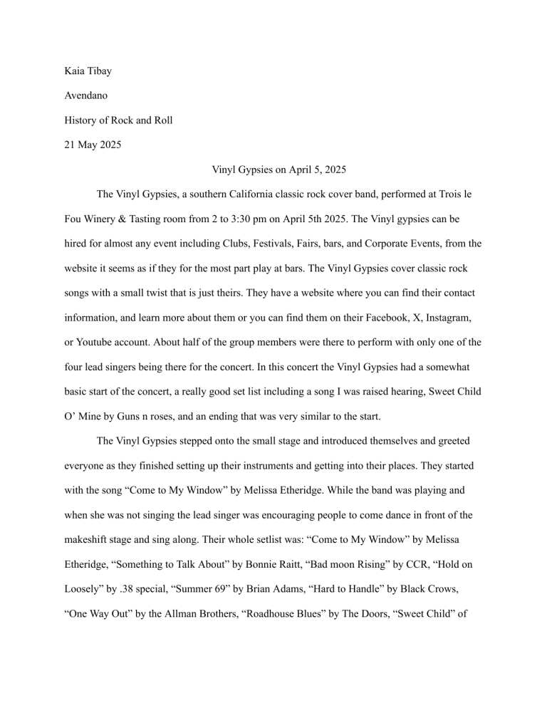 Vinyl Gypsies Concert Review