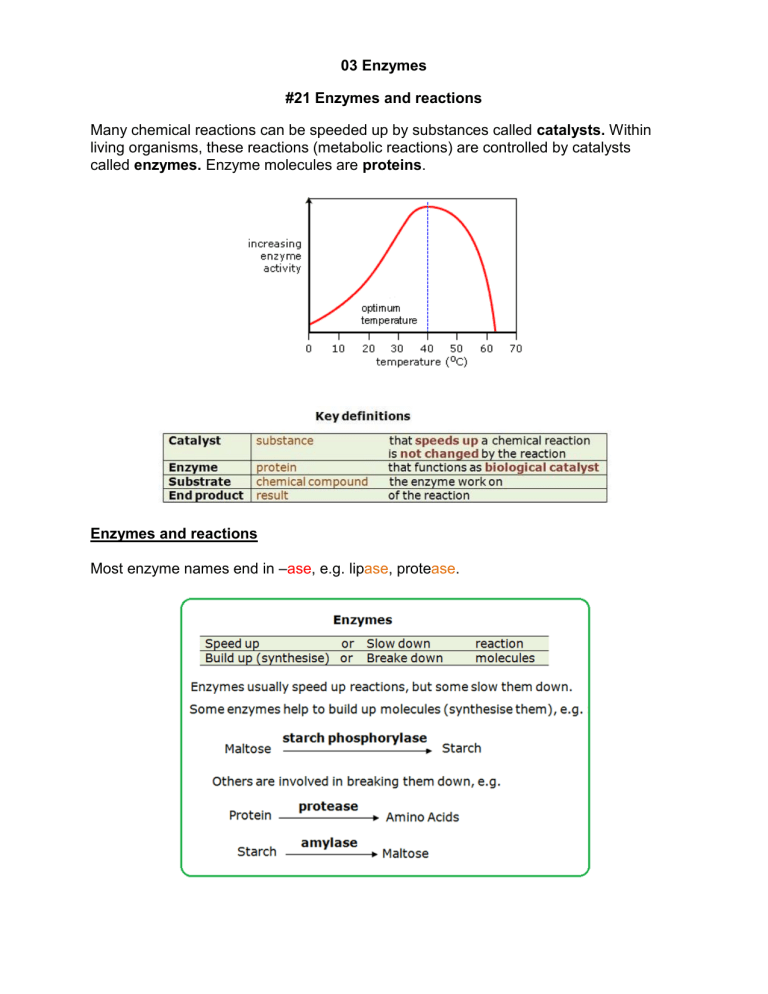 Enzymes: Biology Study Notes & Applications