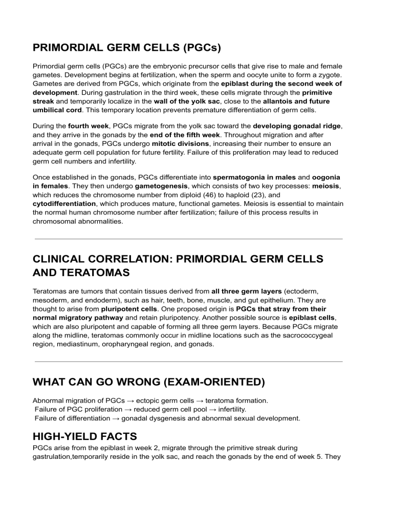 Human Embryology: Germ Cells, Mitosis & Meiosis