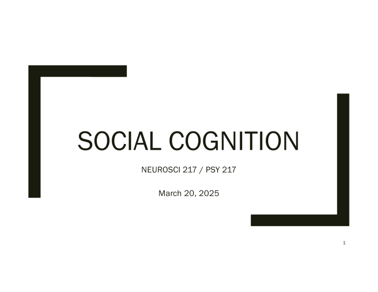 Social Cognition & The Brain Lecture