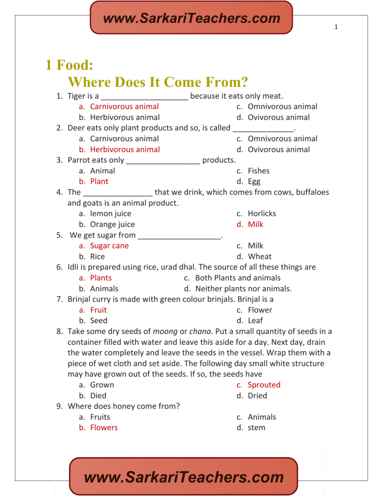 Class 6 Science Worksheet PDF