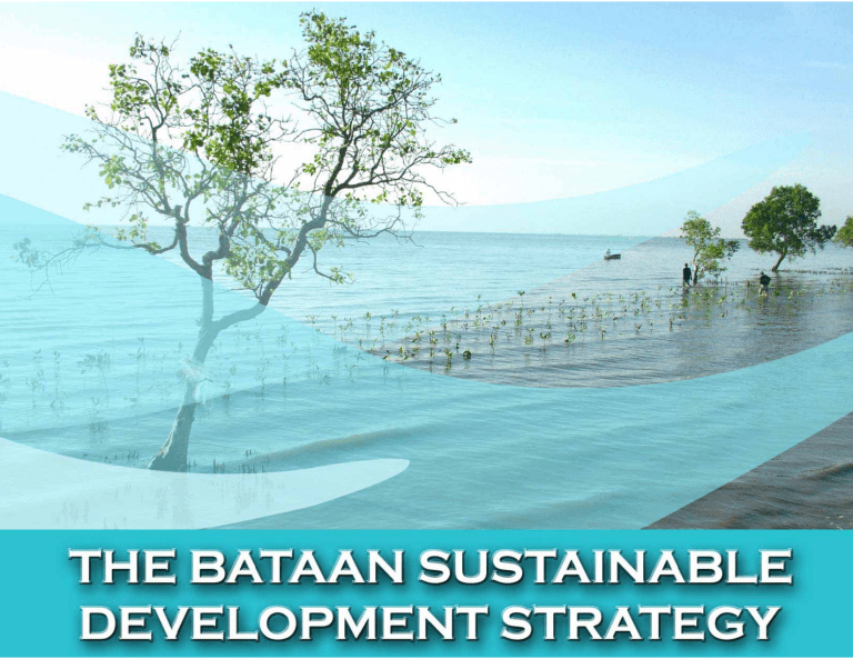 Bataan Sustainable Development Strategy (BSDS)