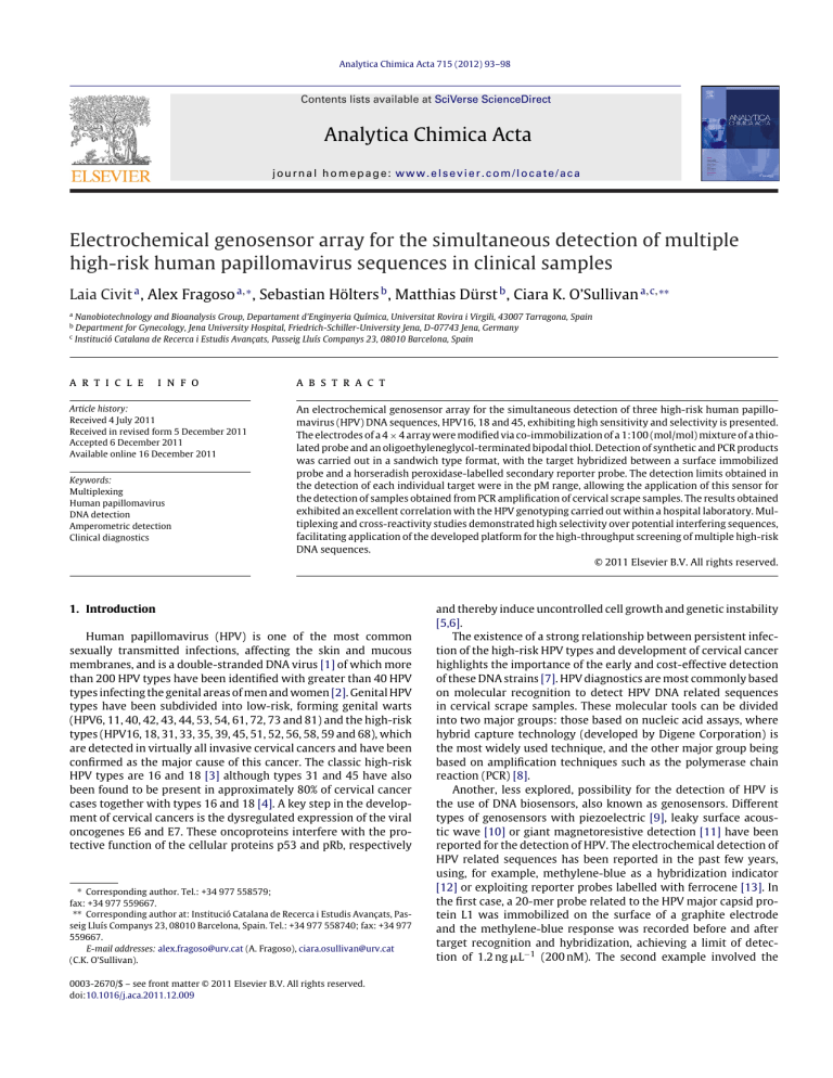 Electrochemical Genosensor for HPV Detection