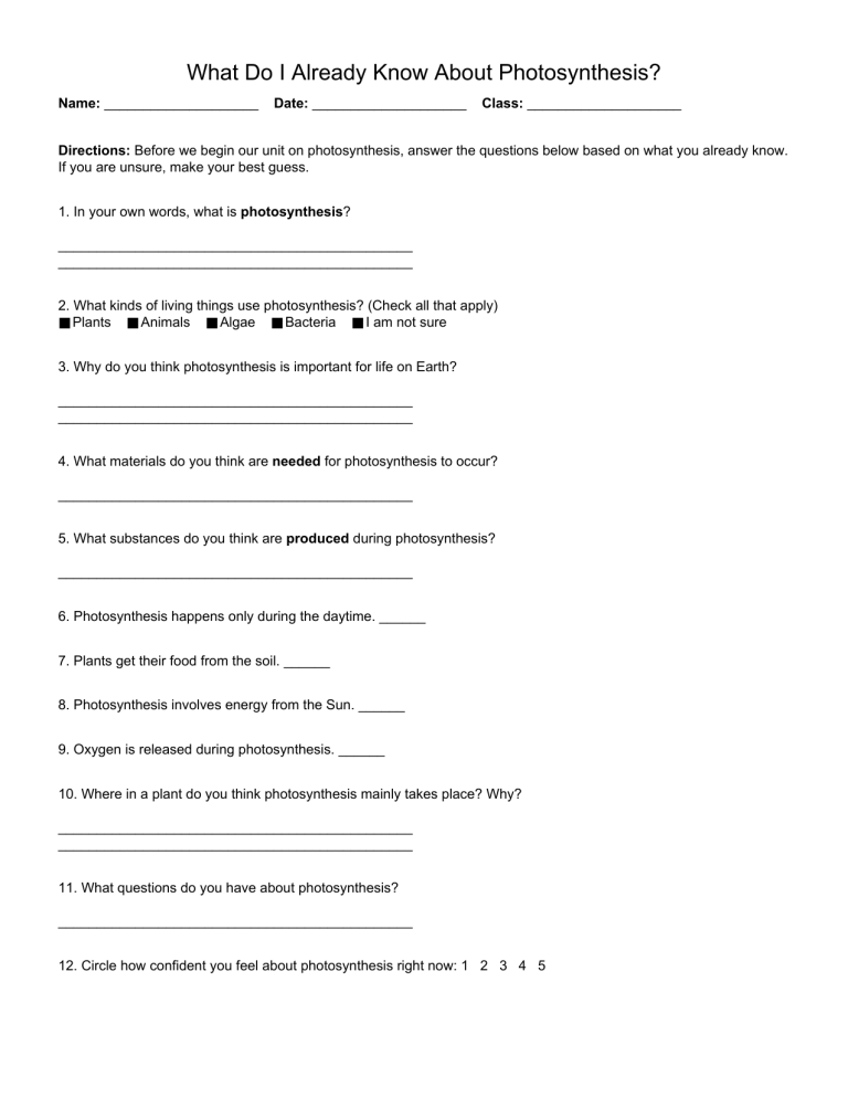 Photosynthesis Pre-Assessment Worksheet