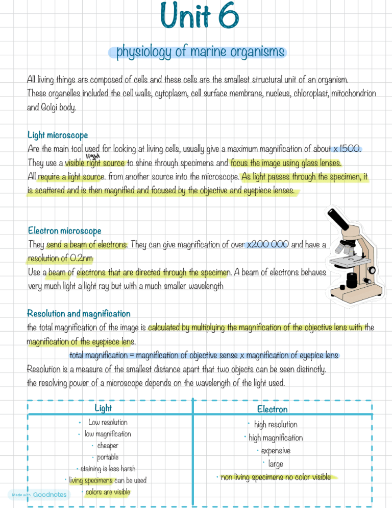 Marine Organism Physiology Study Guide