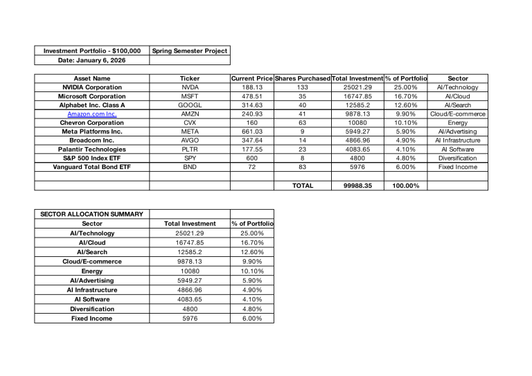 $100k Investment Portfolio Project Analysis