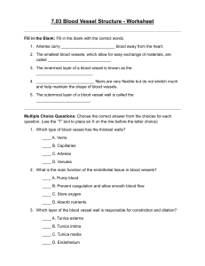 Blood Vessels Worksheet: Arteries, Veins, Capillaries