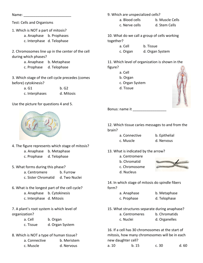 Cells and Organisms Biology Test