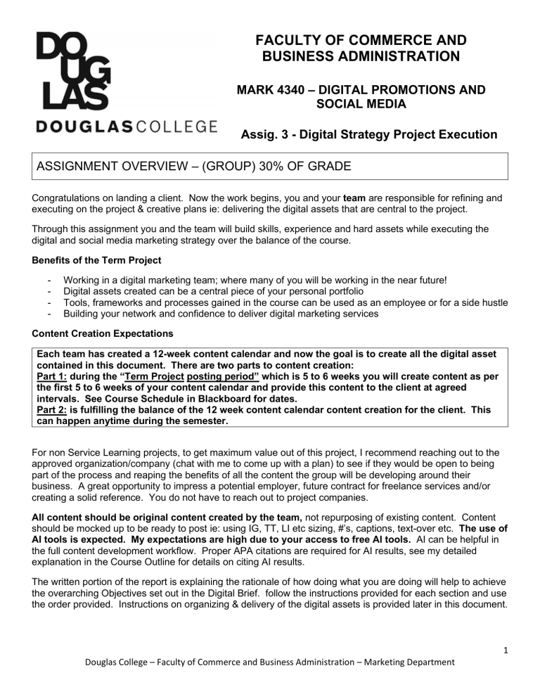 Digital Marketing Strategy Assignment Guide