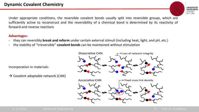 Molecular Enginnering 25 26 dynamic covalent