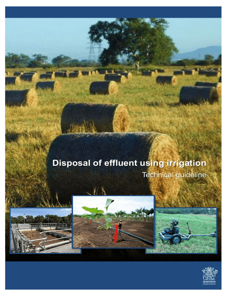 disposal-of-effluent-using-irrigation-technical-guideline