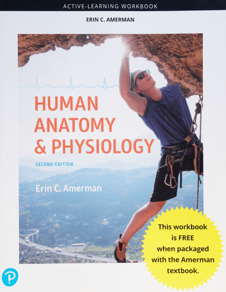 Human Anatomy & Physiology Active-Learning Workbook