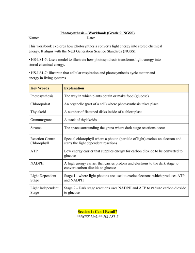 Photosynthesis Workbook Grade 9 NGSS