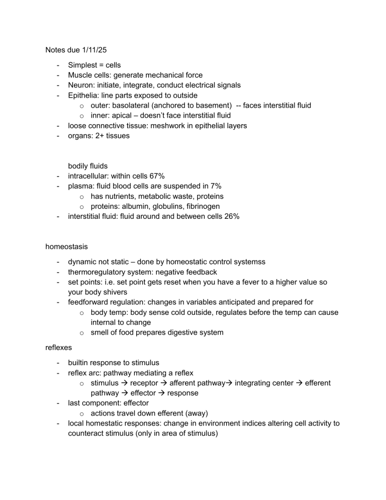 Biology Study Notes: Cells, Homeostasis, Circulatory System