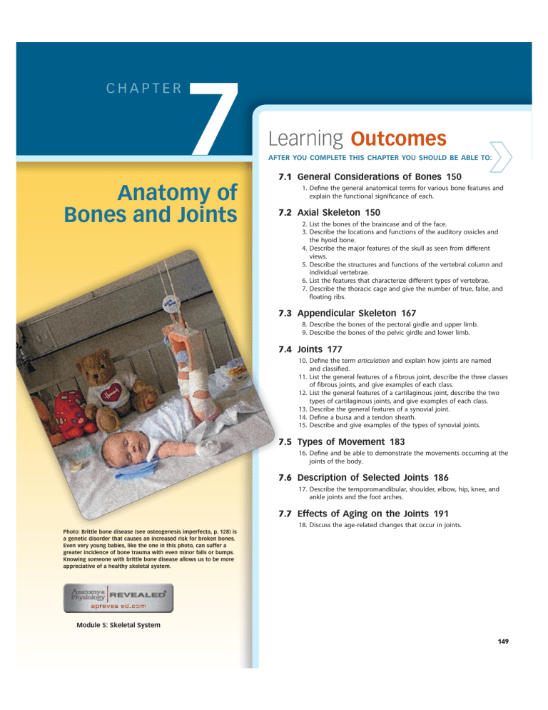 Anatomy of Bones and Joints: Chapter 7 Skeletal System Guide