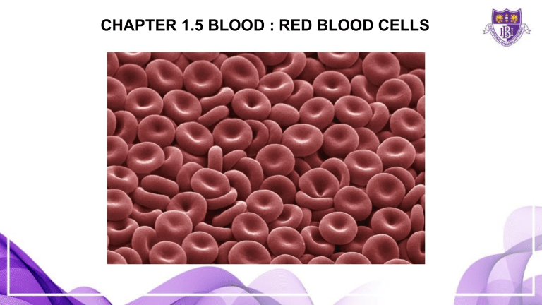 Chapter 1.5: Red Blood Cells - Biology