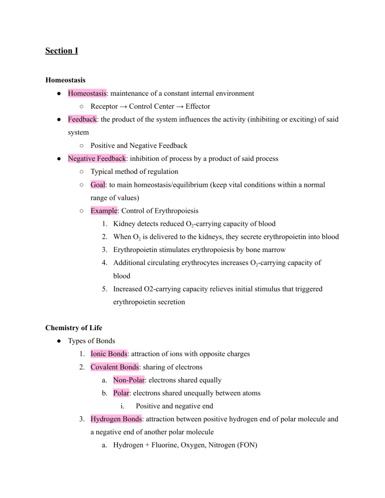 Biology: Homeostasis & Chemistry of Life