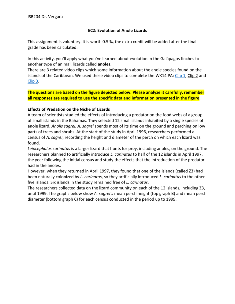 Anole Lizard Evolution Extra Credit Assignment