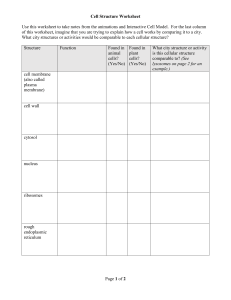 Animal Cell Worksheet Functions