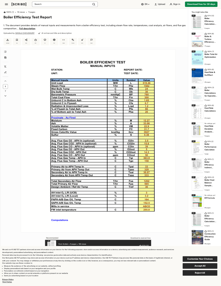 Boiler Efficiency Test Report: Manual Inputs & Calculations