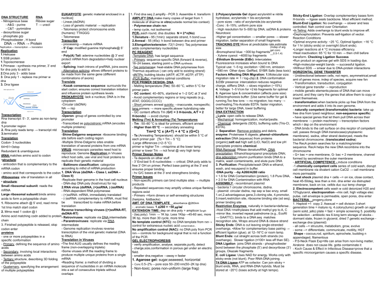 Molecular Biology Study Guide: DNA, PCR, and Lab Techniques
