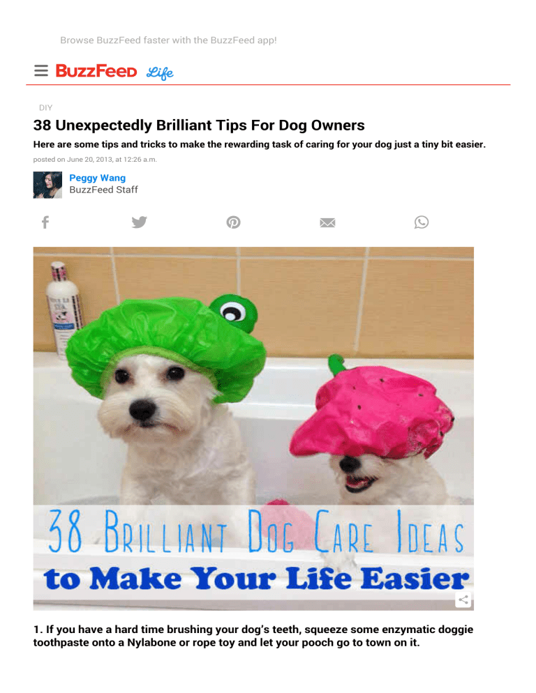 38 Brilliant Tips for Dog Owners