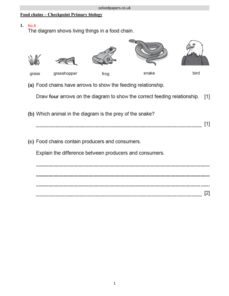 Food Chains Biology Worksheet