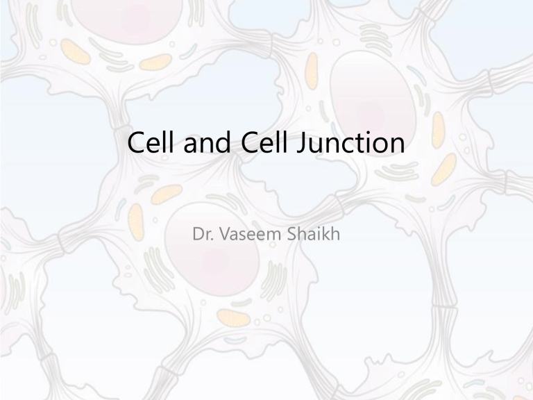 Cell Biology: Structure, Function, and Cell Junctions Guide