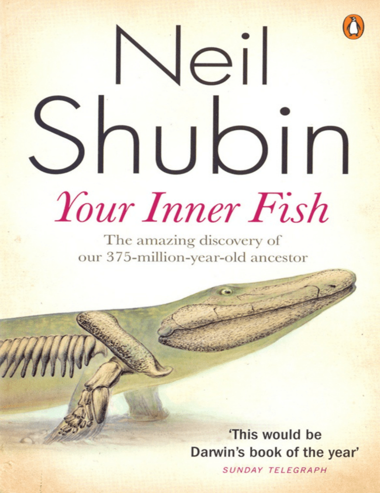 Your Inner Fish