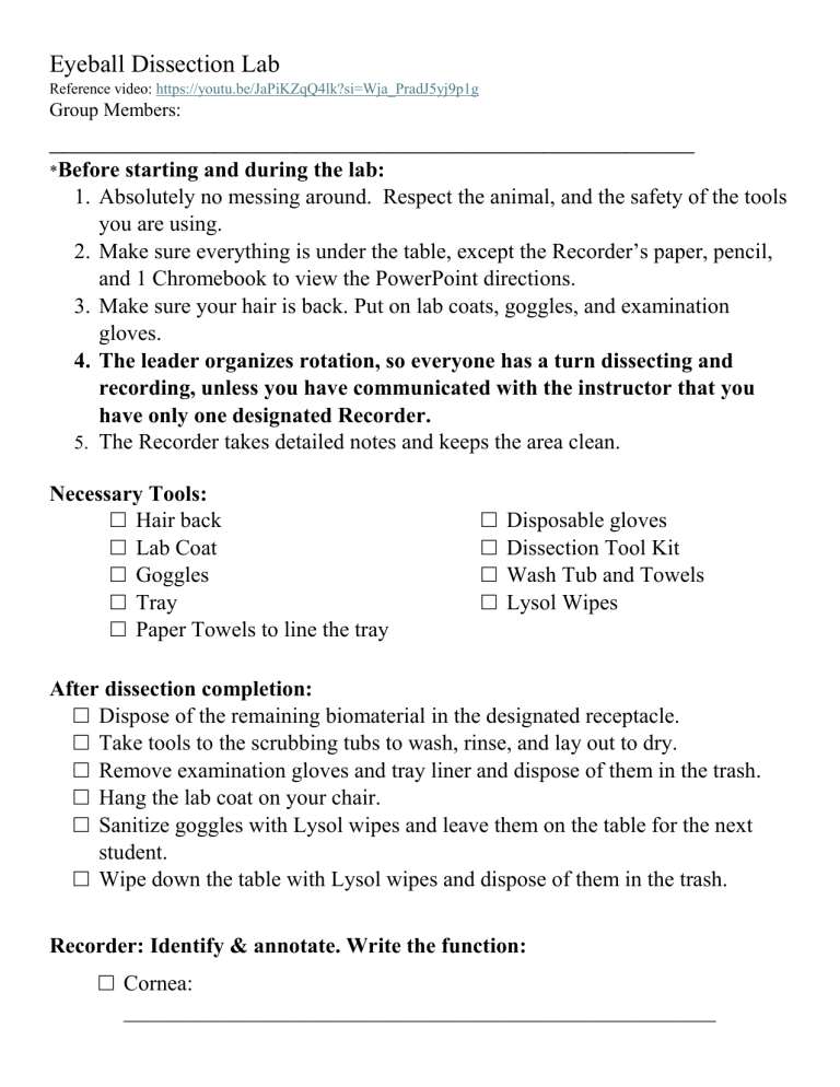 Eyeball Dissection Lab Guide: Anatomy & Safety