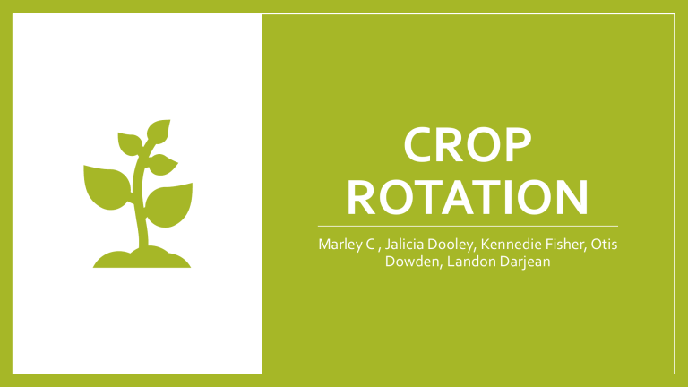 Crop Rotation Guide for Students