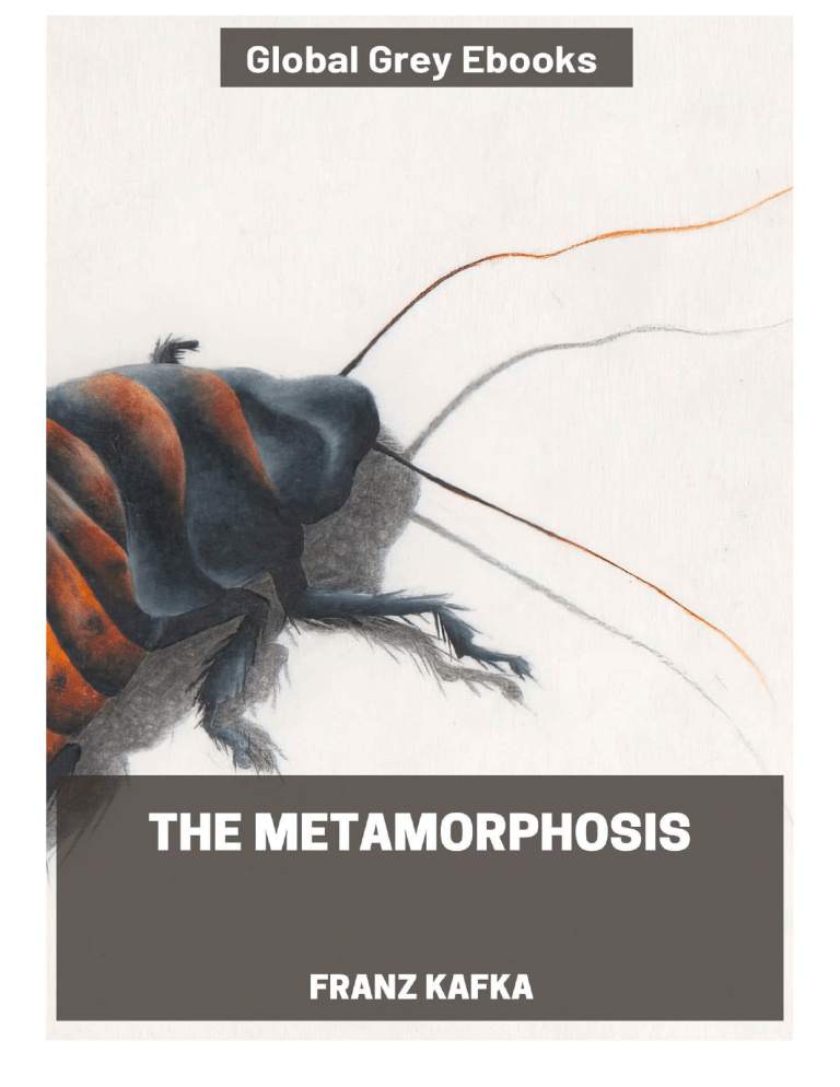 The Metamorphosis by Franz Kafka