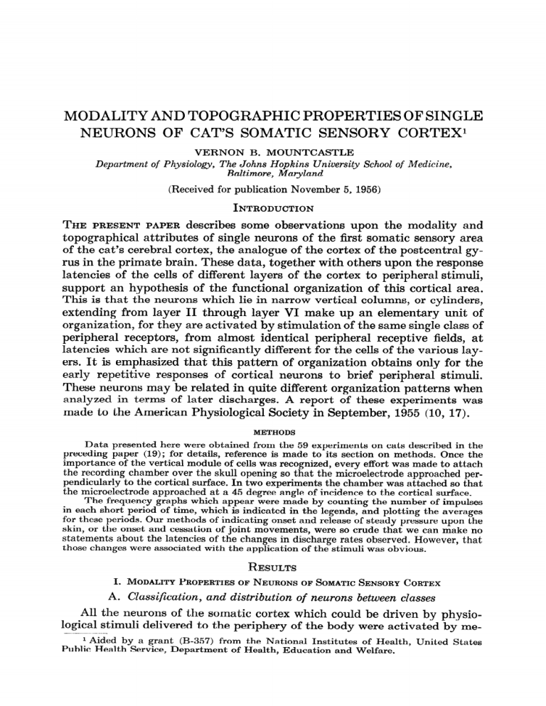 Modality and Topographic Properties of Cat Somatic Sensory Cortex Neurons