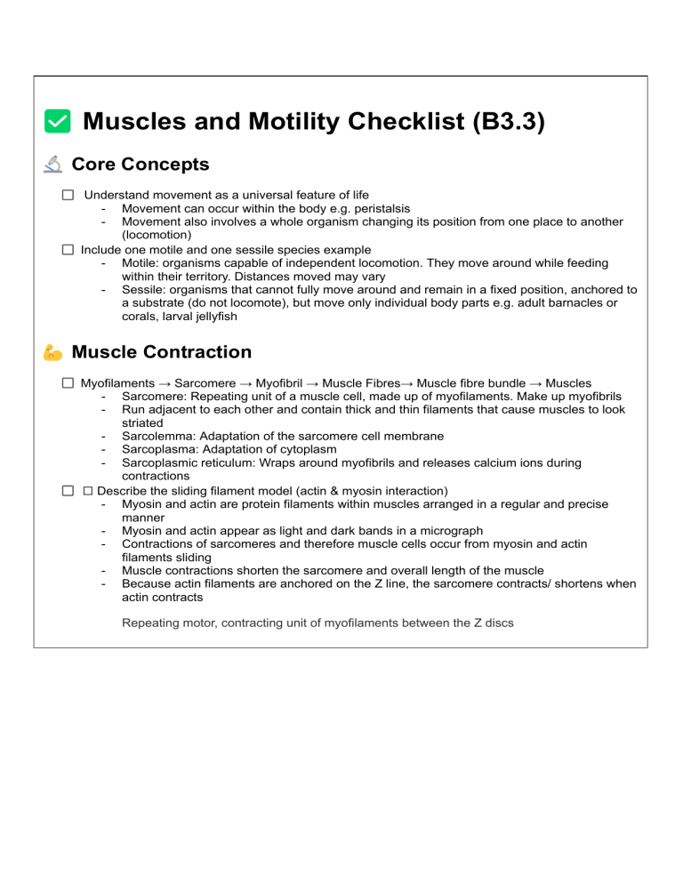 Muscles and Motility Checklist (B3.3)