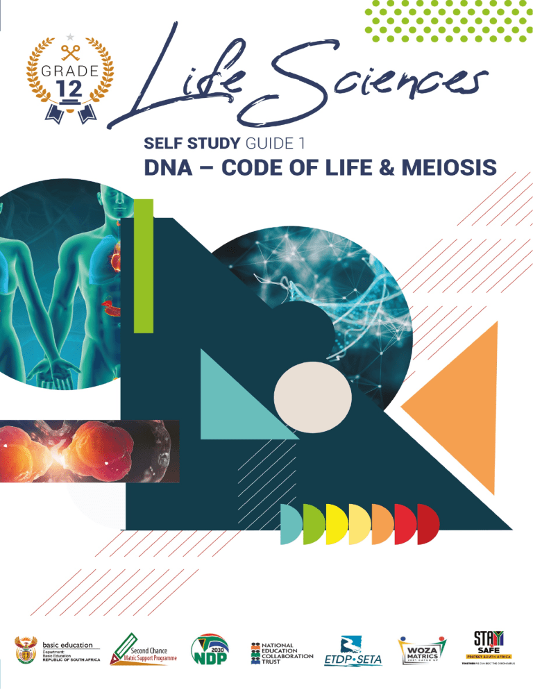 Grade 12 Life Sciences Self-Study Guide: DNA & Meiosis