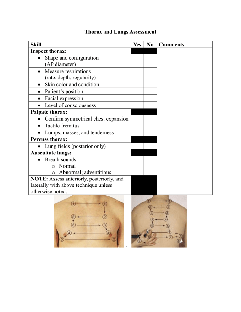 Thorax & Lungs Assessment