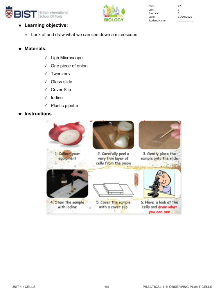 Y7-Practical 1.1 Observing Plant Cells (PS)