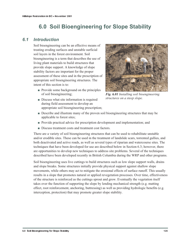 Soil Bioengineering for Slope Stability