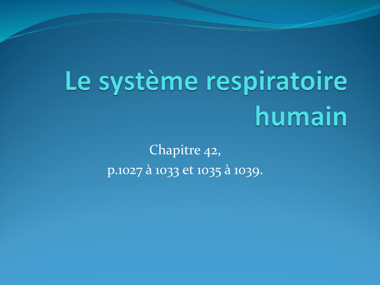 Chapitre 42 Biologie : Système Respiratoire et Échanges Gazeux