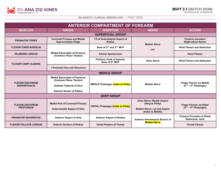 Anterior Forearm Muscles: Clinical Kinesiology Table