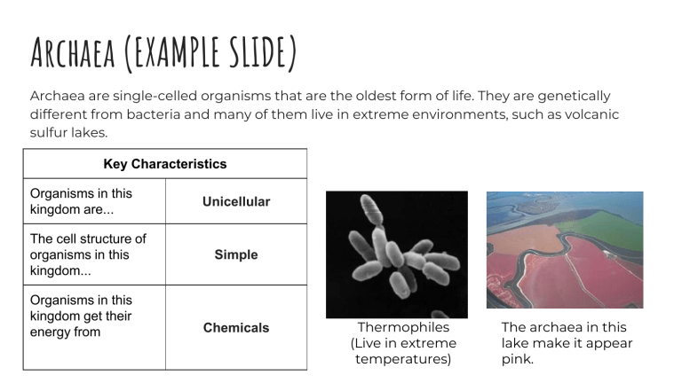 Archaea: Example Slide
