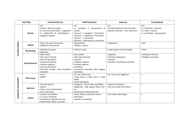 Bacteriology Study Guide: Gram Positive and Negative Bacteria ...