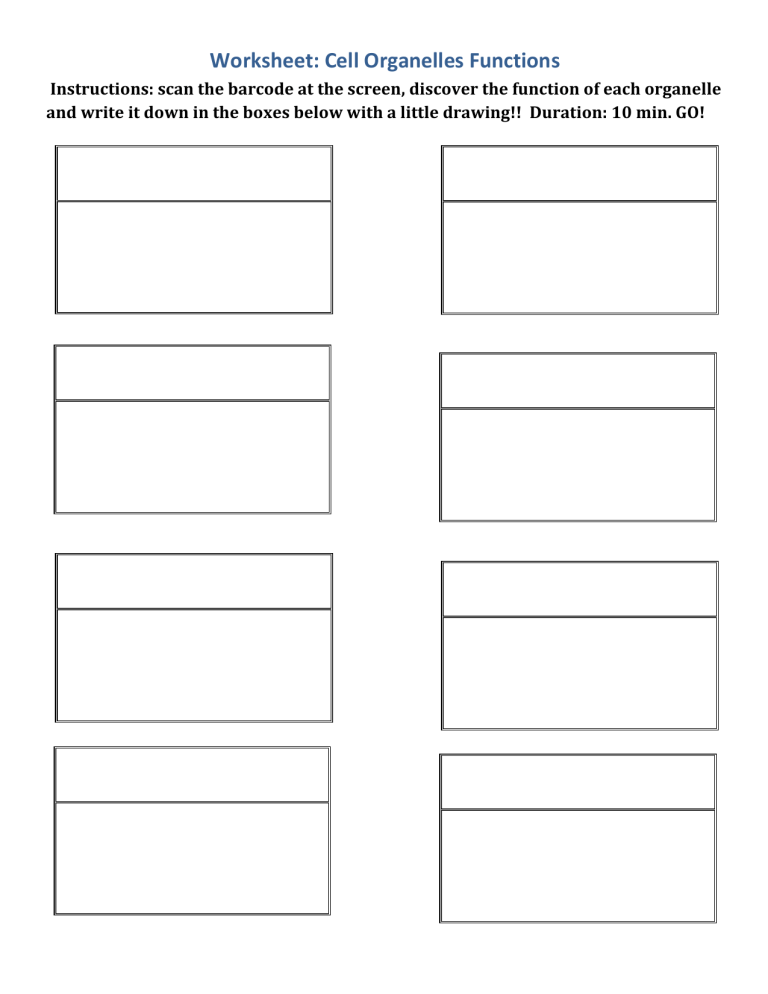 Cell Organelles Functions Worksheet
