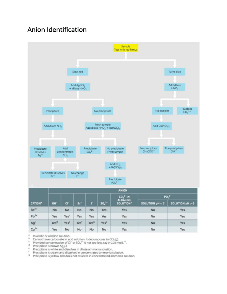 Anion Identification: Chemistry Lab Manual & Qualitative Analysis Guide