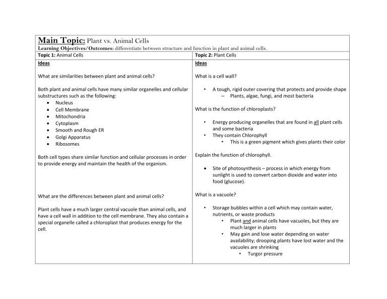 Plant vs Animal Cells Worksheet