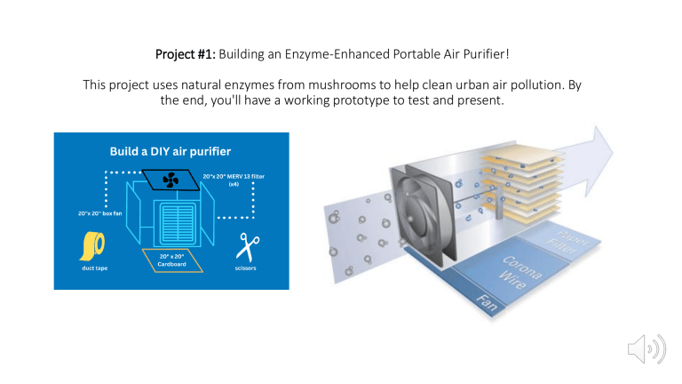 DIY Enzyme Air Purifier Project Guide
